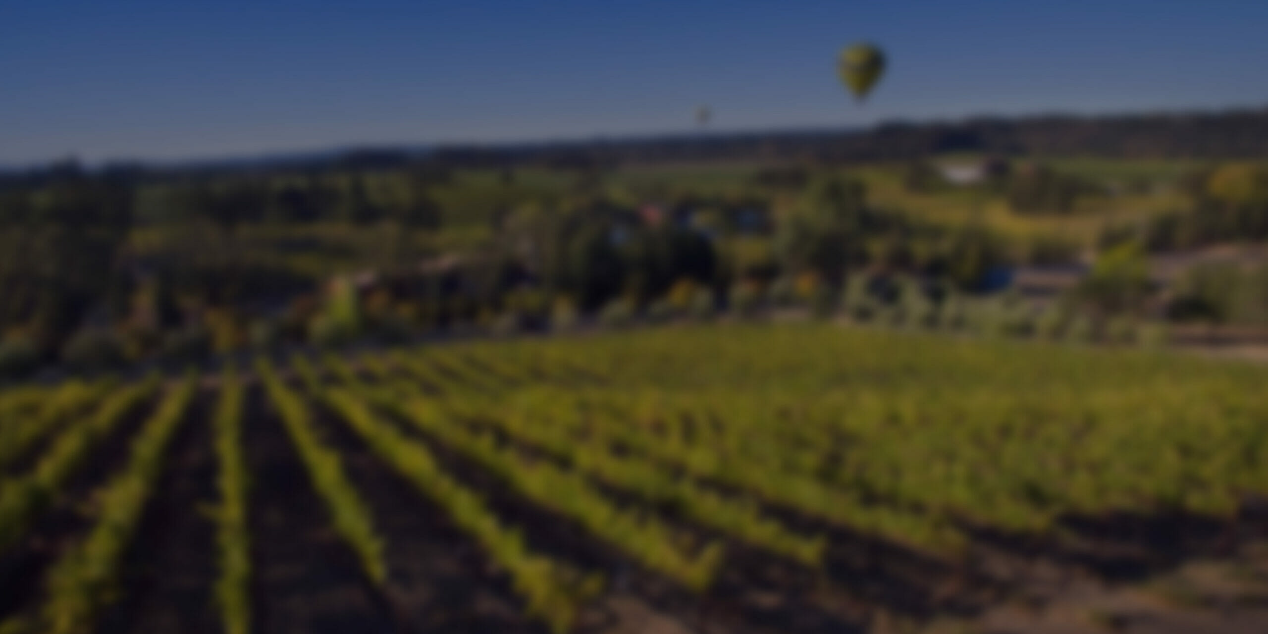 2022 Alexander Valley Cabernet Sauvignon - The Calling Wine